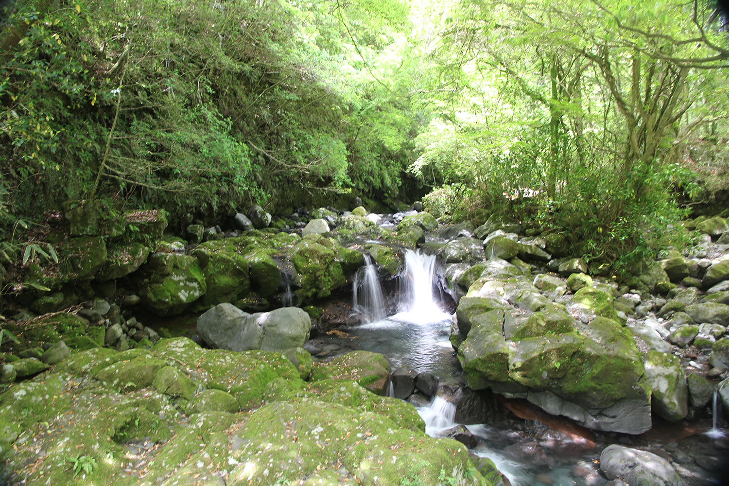Do you know you can go Bungy jumping in Mt. Fuji? - NASUBI Mt.Fuji ...